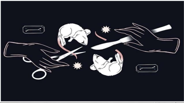 Ethics of animal testing presentation(1).pptx