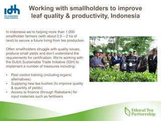 Ethical Tea Partnership: An Introduction | PPTX