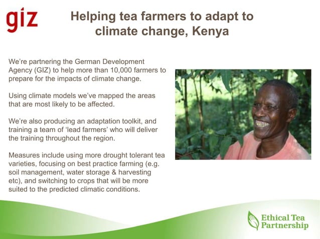 Ethical Tea Partnership: An Introduction | PPT