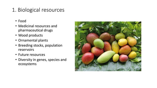 Conservation Biology Ethical values | PPTX | Environment | Science