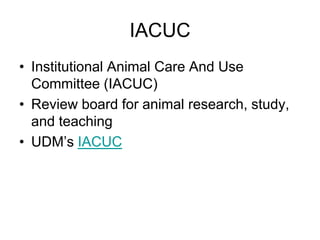 Ethics In Research | PPTX