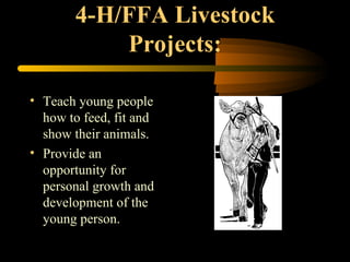Ethics and 4 h livestock projects | PPT