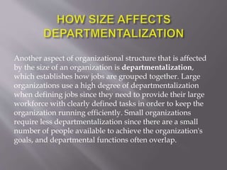 ORGANIZATION SIZE | PPT