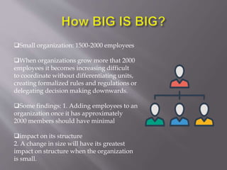 ORGANIZATION SIZE | PPT