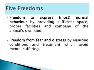 Ethics of Using animals in Research | PPTX