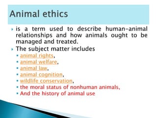 Ethics of Using animals in Research | PPTX
