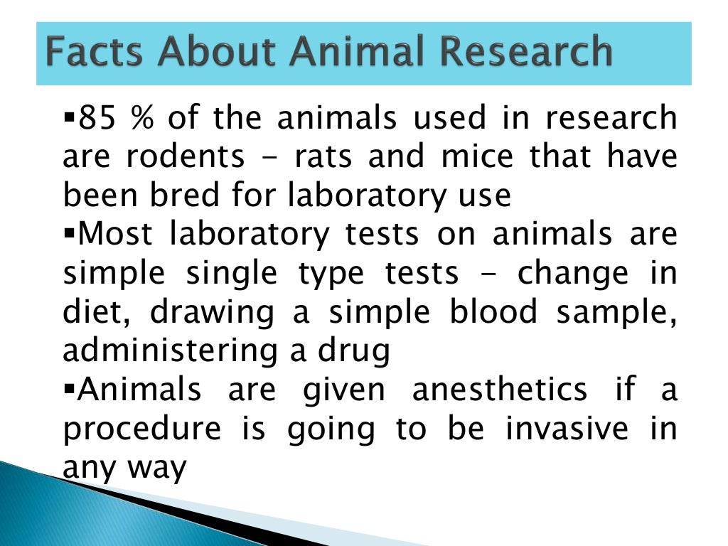 Ethics Of Using Animals In Research ethics-of-using-animals-in-research
