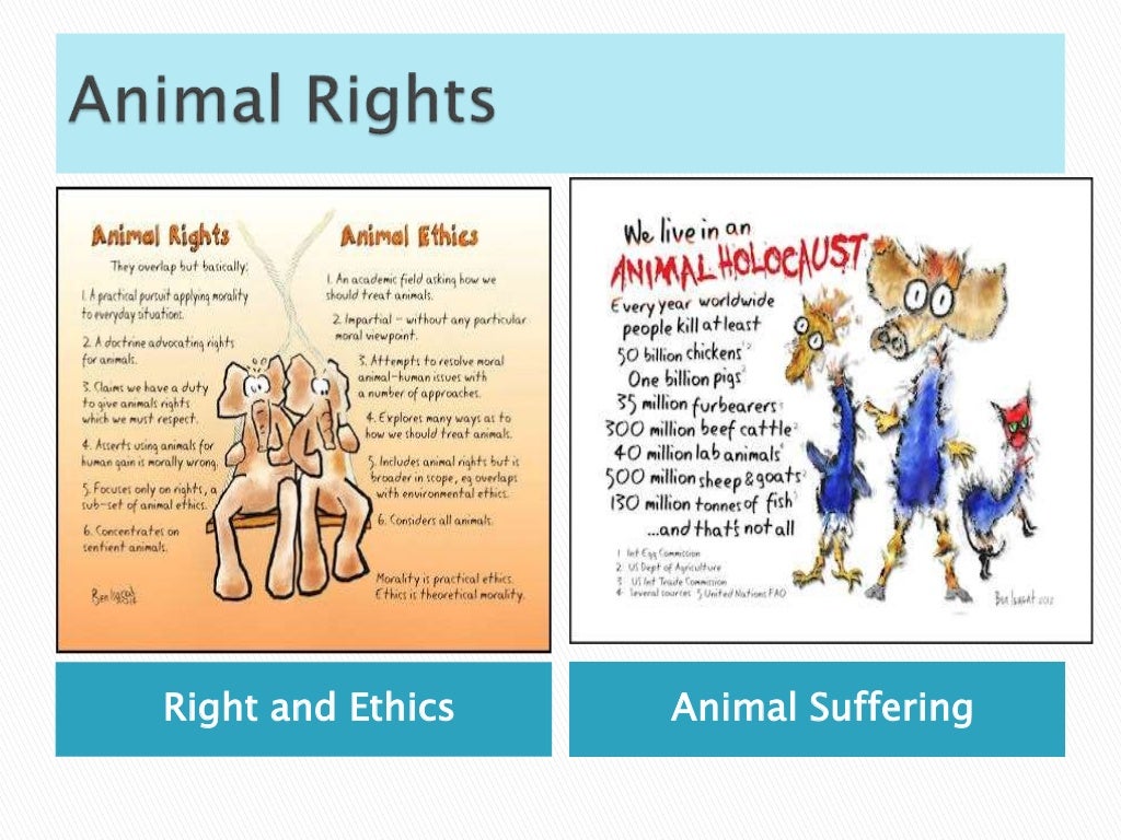 Ethics of Using animals in Research