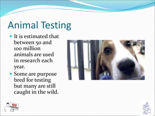 Ethics of Animal Research Laika mission.ppt