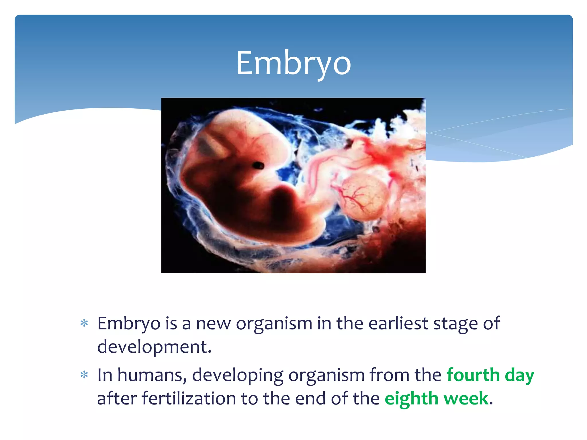 Ethics of embryo research | PPTX