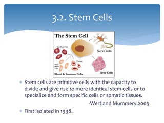 Ethics of embryo research | PPTX