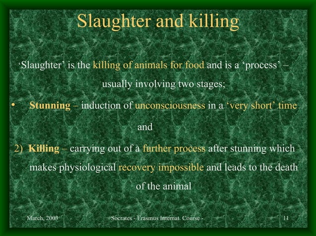 Ethics Of Slaughter Procedures | PPT