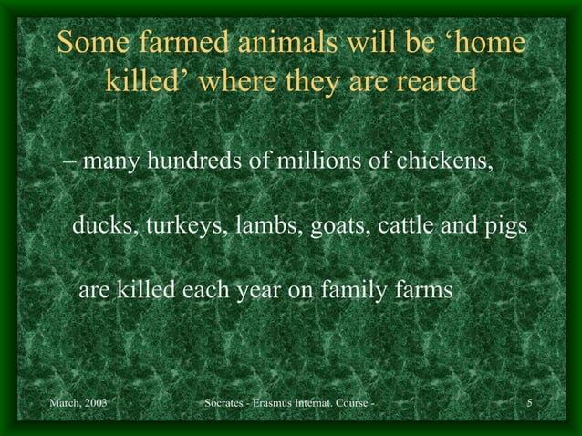Ethics Of Slaughter Procedures | PPT
