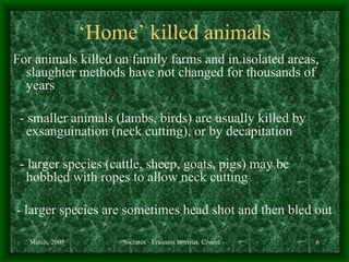 Ethics Of Slaughter Procedures | PPT