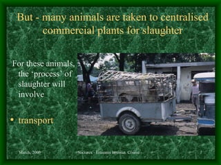 Ethics Of Slaughter Procedures | PPT