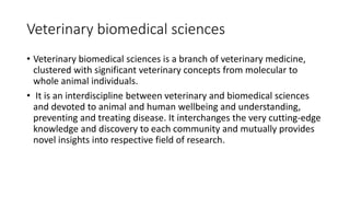 Ethics on Veterinary bio-medical sciences.pptx
