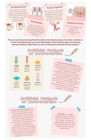 Birth Control PPT | DOCX