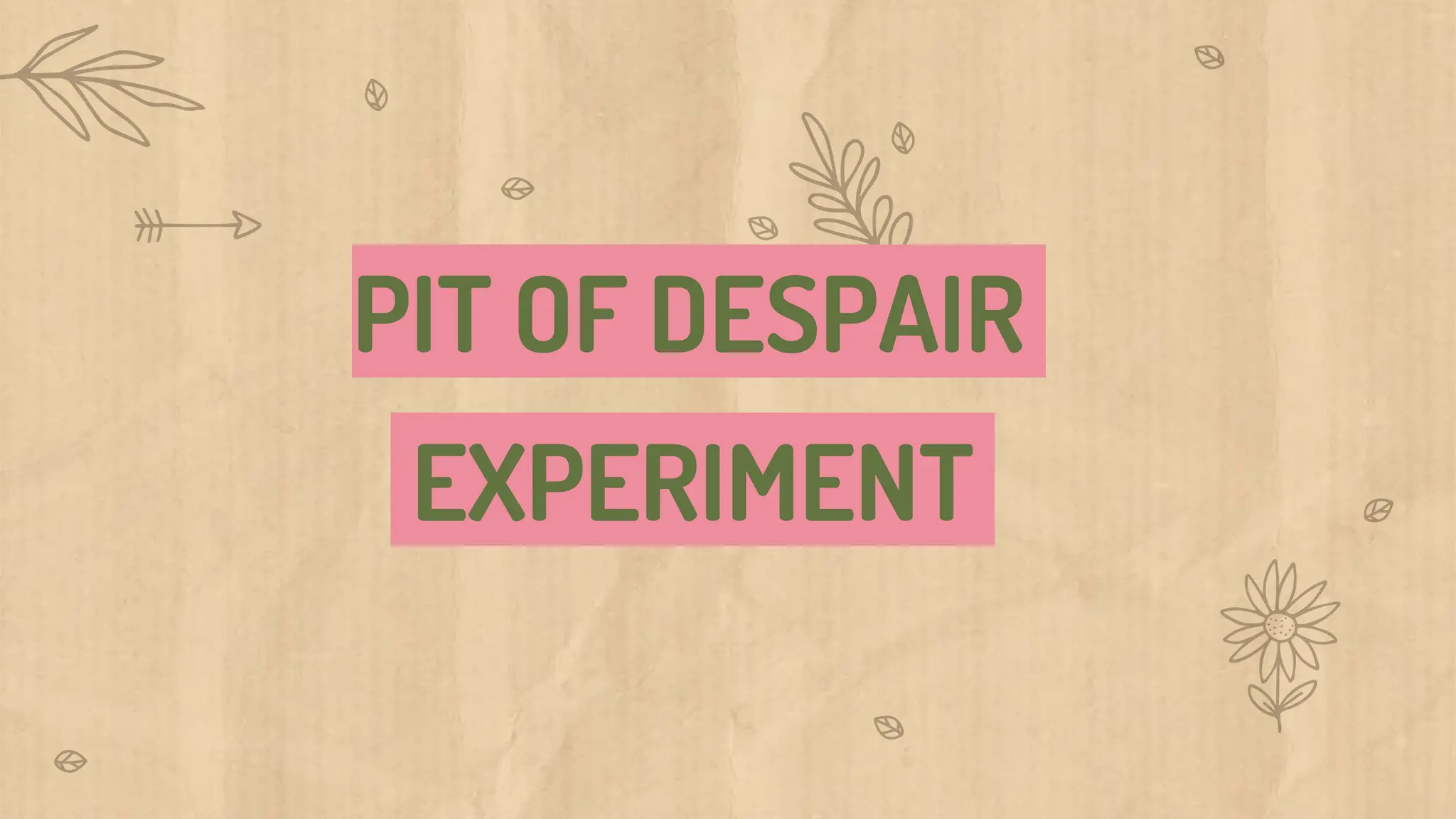 ethical violation in the experiment of pit of despair | PPTX