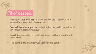 ethical violation in the experiment of pit of despair | PPTX