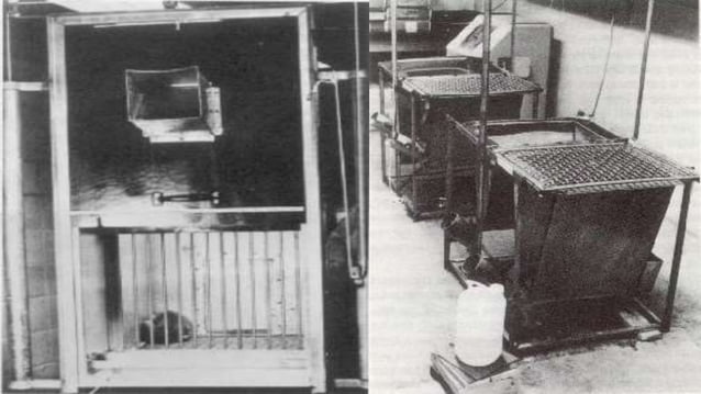 ethical violation in the experiment of pit of despair | PPTX | Mental ...