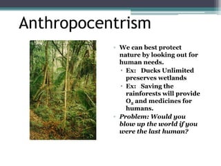 Environmental Ethics | PPTX