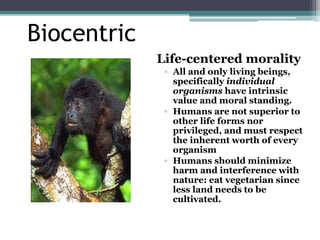 Environmental Ethics | PPTX