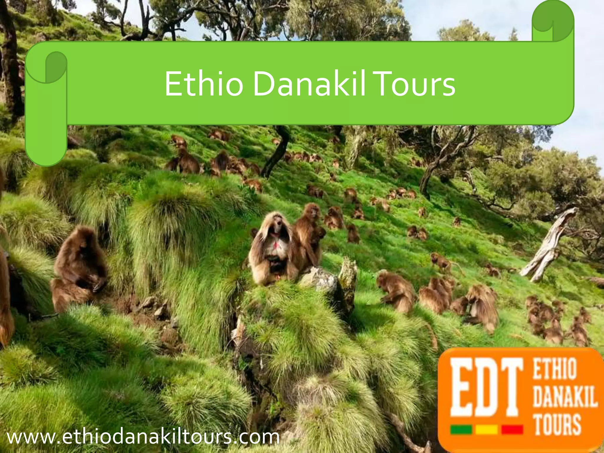 Danakil depression tour | PPTX