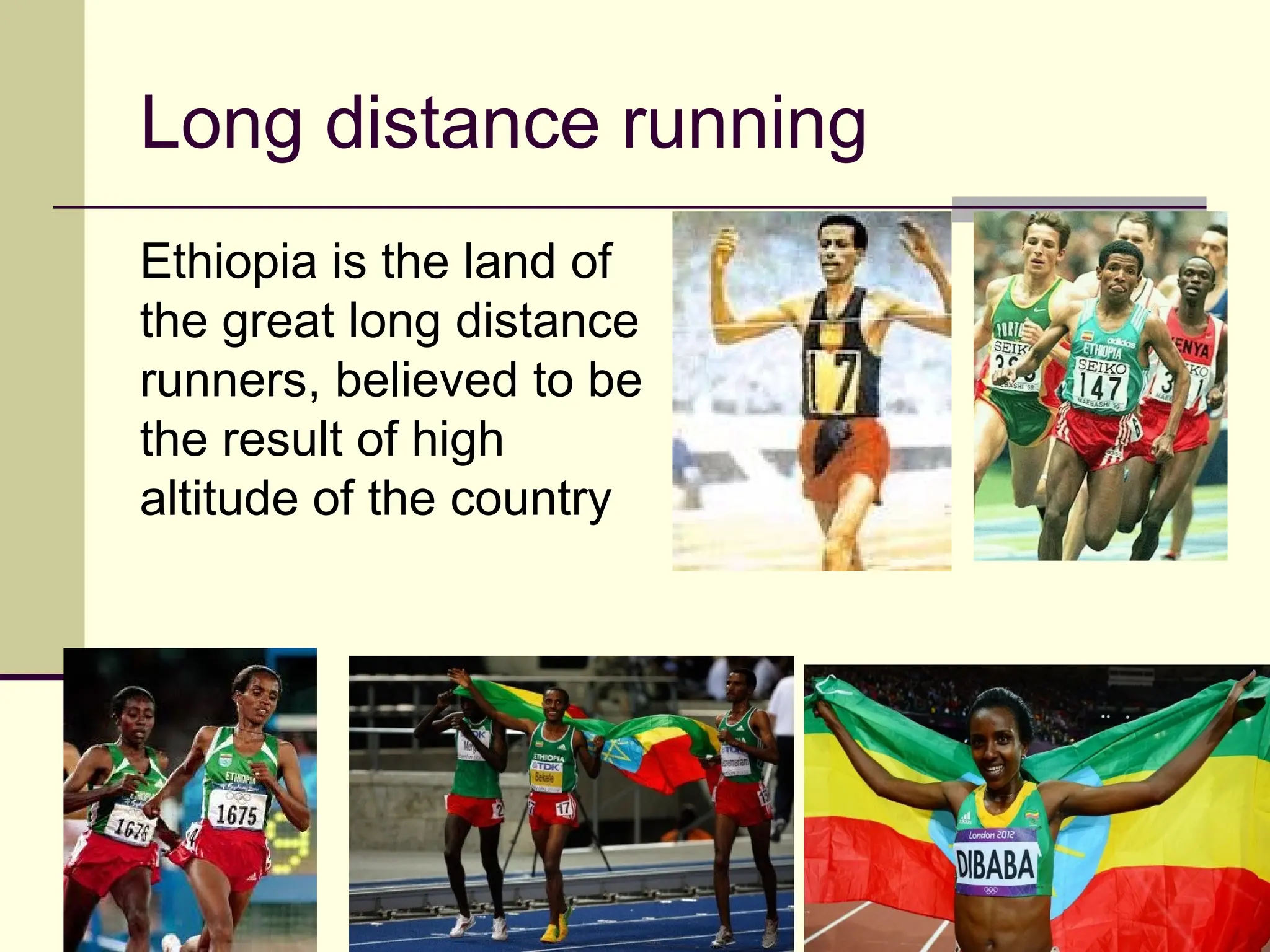 Introduction to Country Profile Ethiopia | PDF