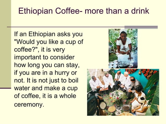 Introduction to Country Profile Ethiopia | PDF