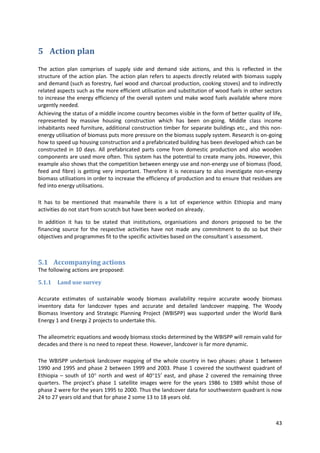 Ethiopia Biomass energy strategy Ethiopia.pdf
