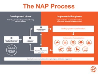 Communicating Ethiopia's NAP Process to International Audiences | PPT