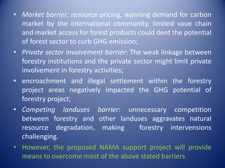 ethiopia forest _nama_project_proposal_.ppt