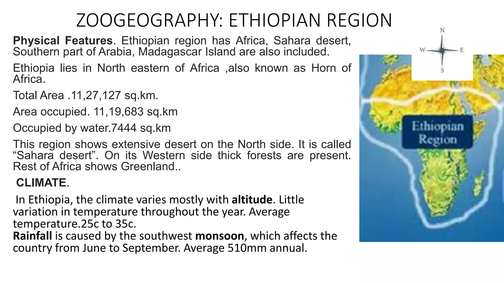 Ethiopian region | PPTX