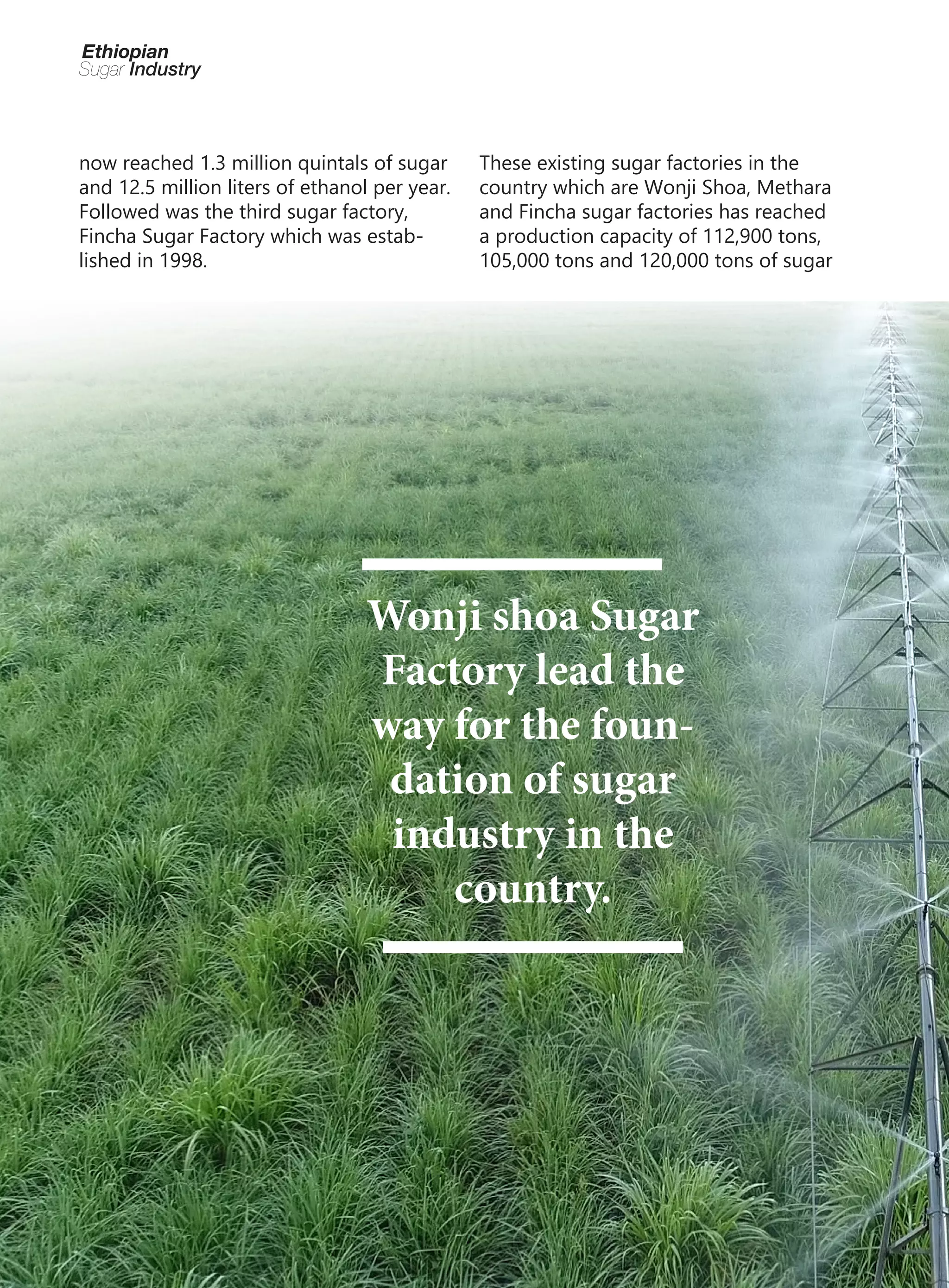Ethiopian sugar industry profile | PDF