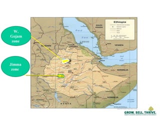 Ethiopia phase ii 14062011 | PPT