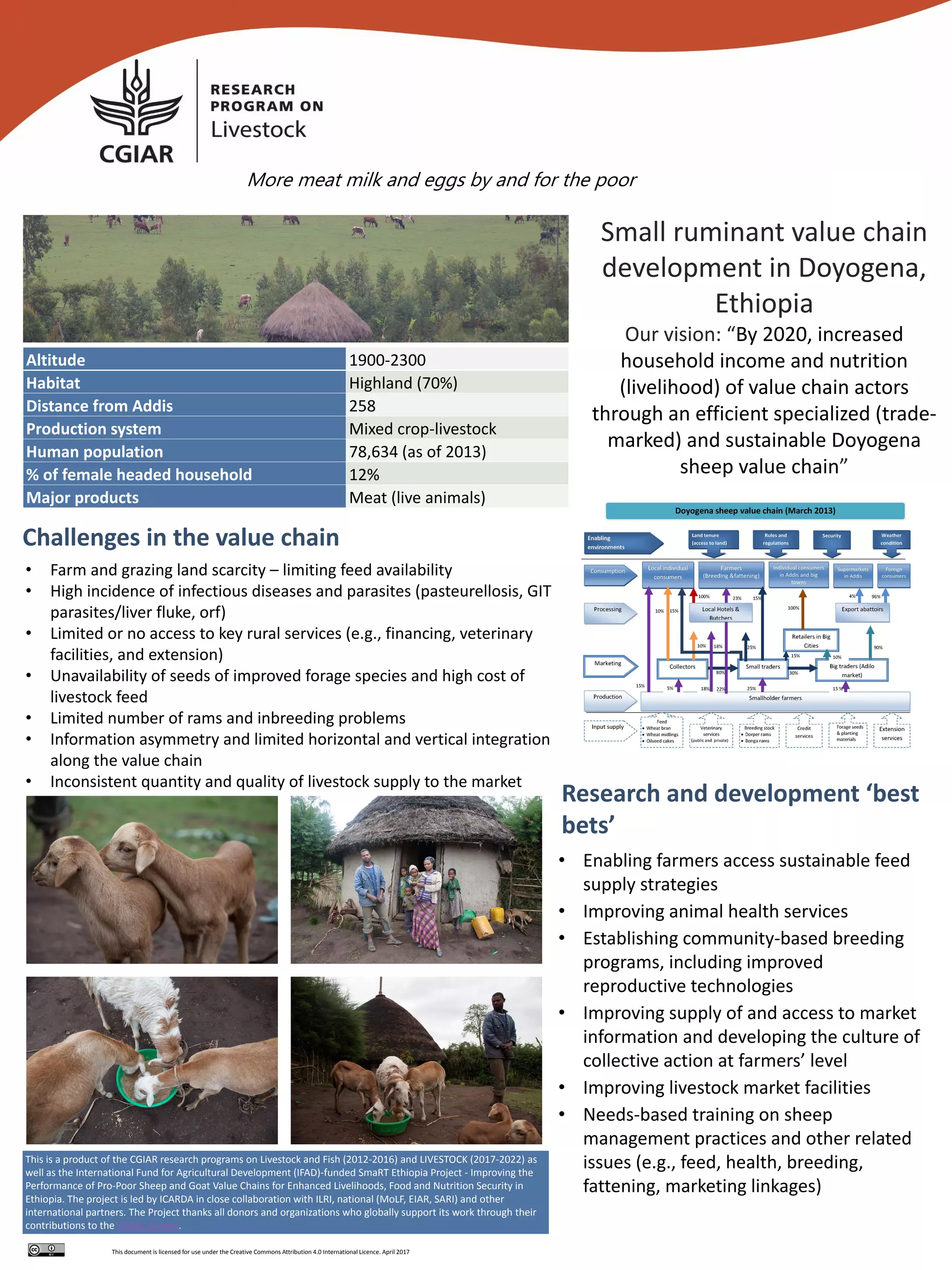 Small ruminant value chain development in Doyogena, Ethiopia | PDF