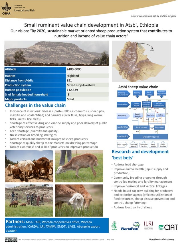 Small ruminant value chain development in Atsbi, Ethiopia | PDF