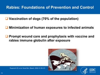 "One Health in the Prevention and Control of Rabies" | PPTX