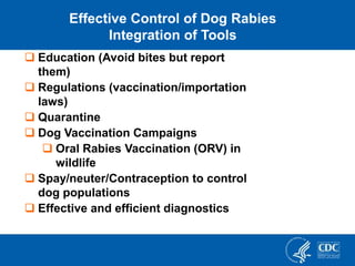 "One Health in the Prevention and Control of Rabies" | PPTX