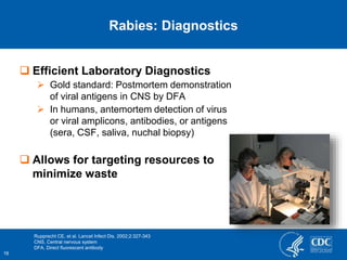 "One Health in the Prevention and Control of Rabies" | PPTX