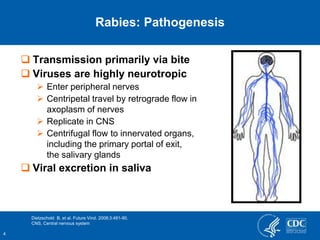 "One Health in the Prevention and Control of Rabies" | PPTX