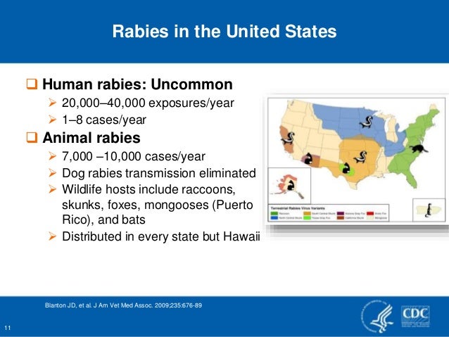 "One Health in the Prevention and Control of Rabies"
