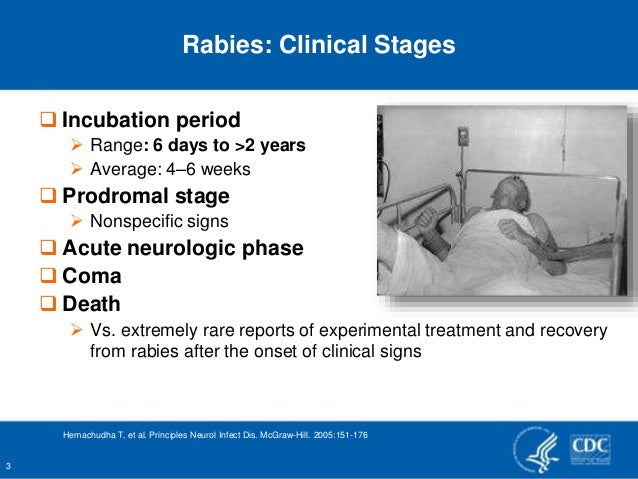 "One Health in the Prevention and Control of Rabies"