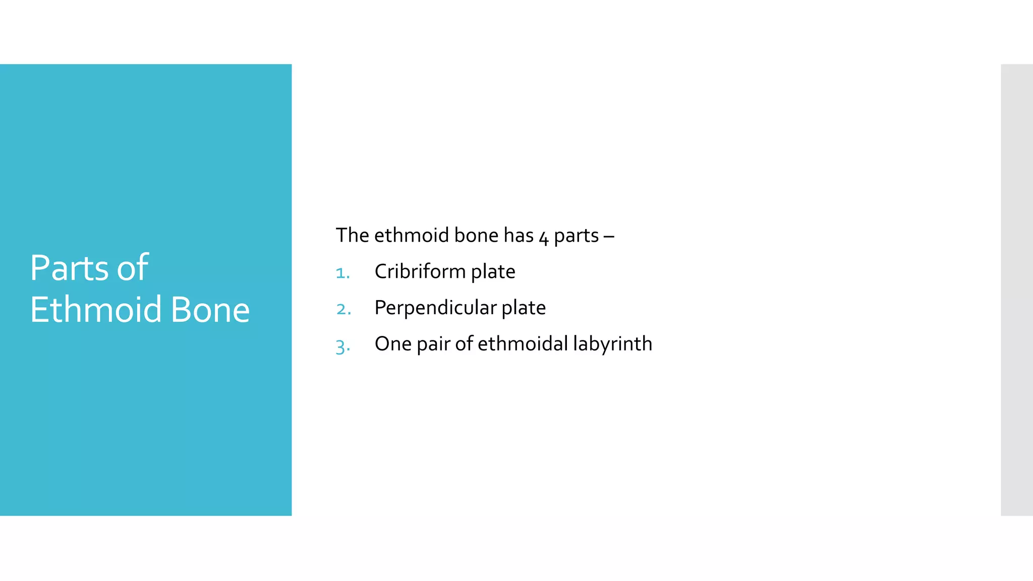 Skeletal System:- Neurocranium - Ethmoid bone | PPT