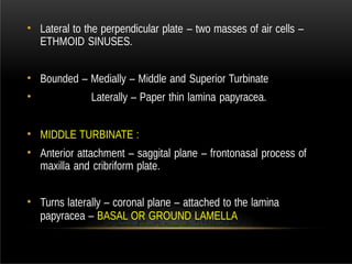 ANTOMICAL DETAILES OF ETHMOID BONE .pptx
