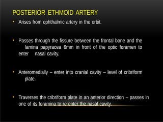 ANTOMICAL DETAILES OF ETHMOID BONE .pptx