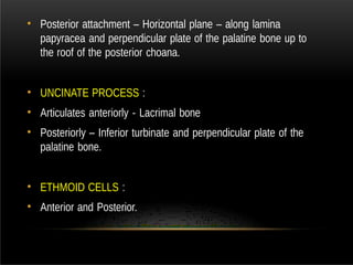 ANTOMICAL DETAILES OF ETHMOID BONE .pptx