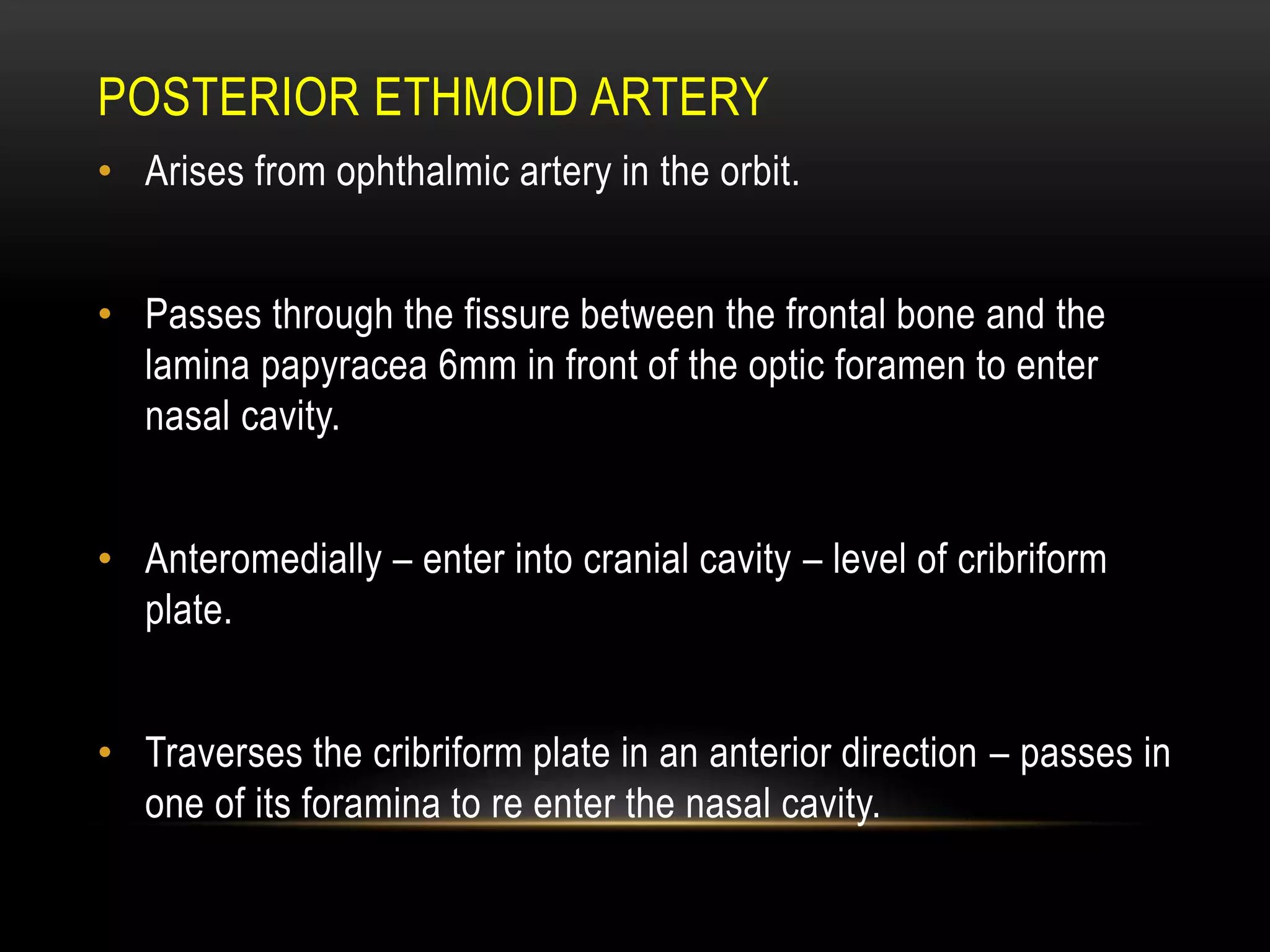 Ethmoid bone anatomy | PPTX