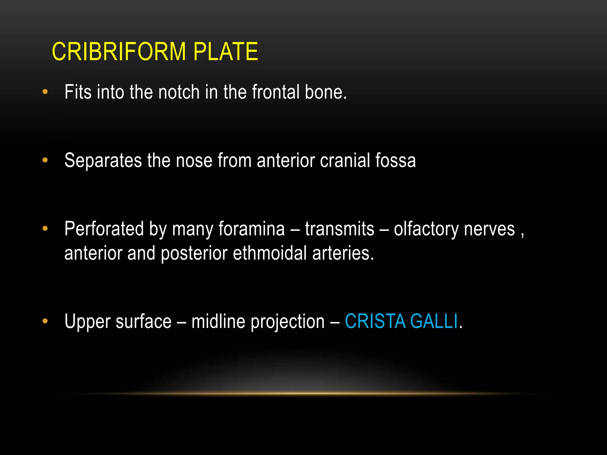 Ethmoid bone anatomy | PPTX