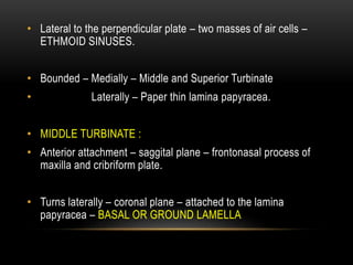 Ethmoid bone anatomy | PPTX